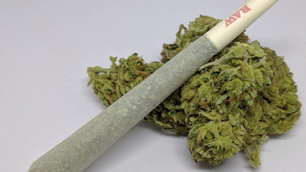 5 Pro Tips for Rolling the Perfect Cone Joints – Savor the Leaf